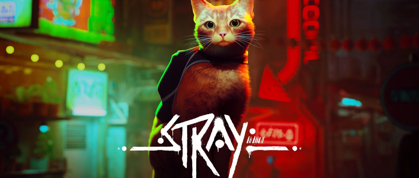 Stray Review - Xbox Tavern